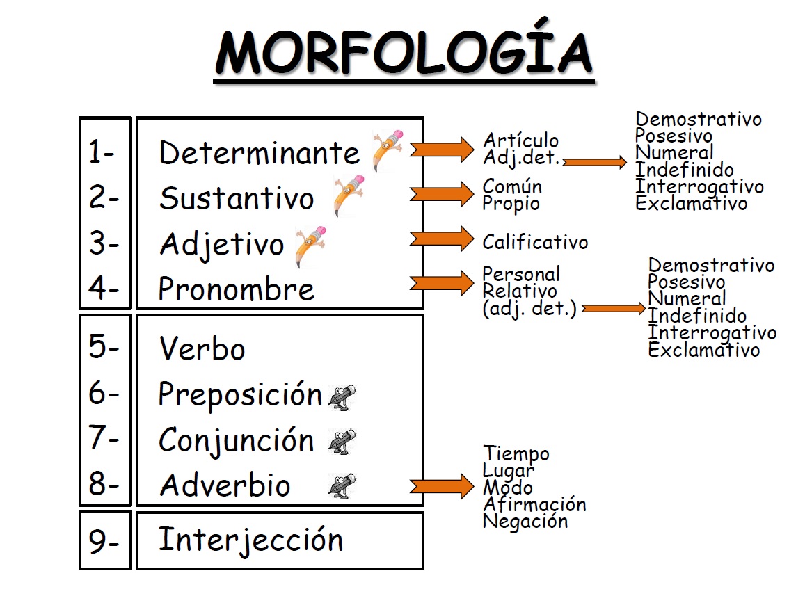 SEMINARIO de LENGUA del LOYOLA: MORFOLOGÍA
