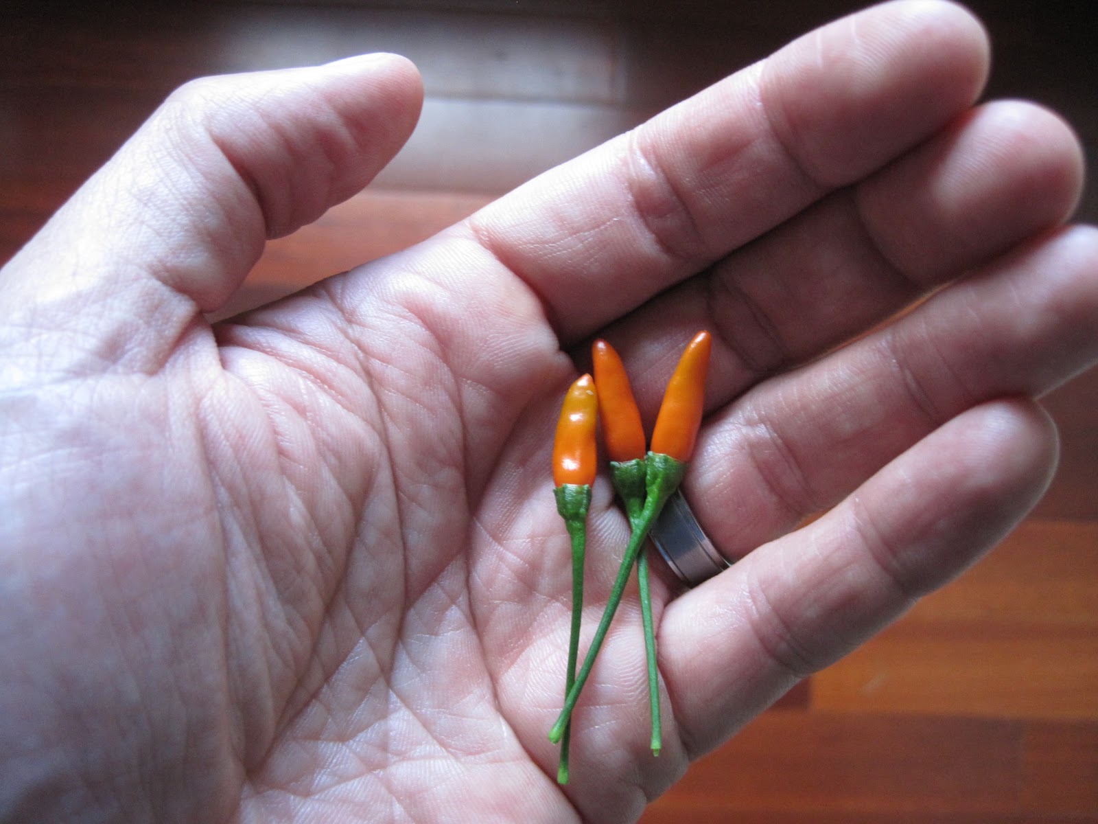WORLD TOMATOES: Siling Labuyo