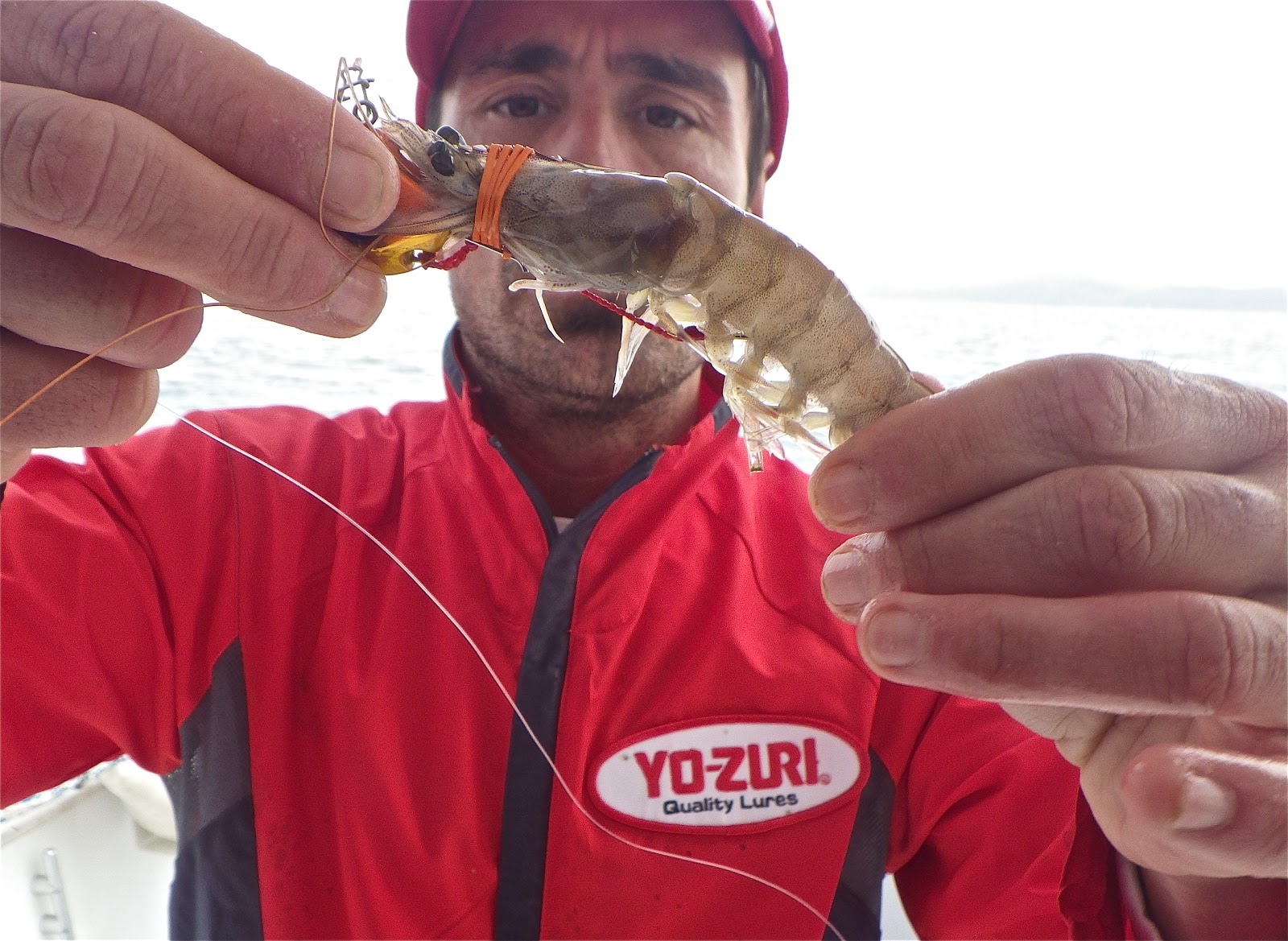 Fishing-Basque: De Luxe Tenya Yo-Zuri
