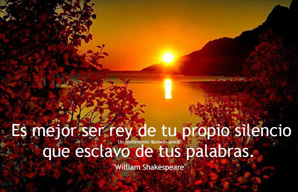 Es mejor guardar silencio ~ Mejores Mensajes