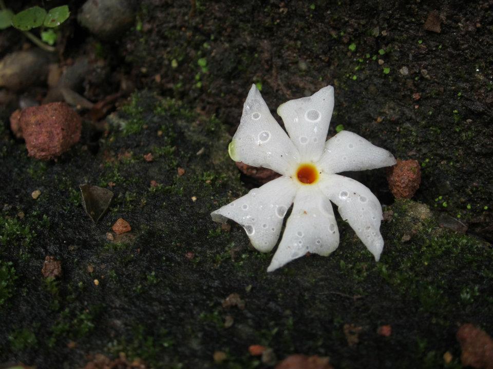 Senseless Sense?Or sensible nonsense?: My holiday in pictures