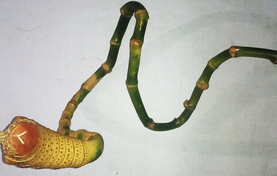 Galeri Bambu Unik Nusantara: Unique bamboo "Whips"