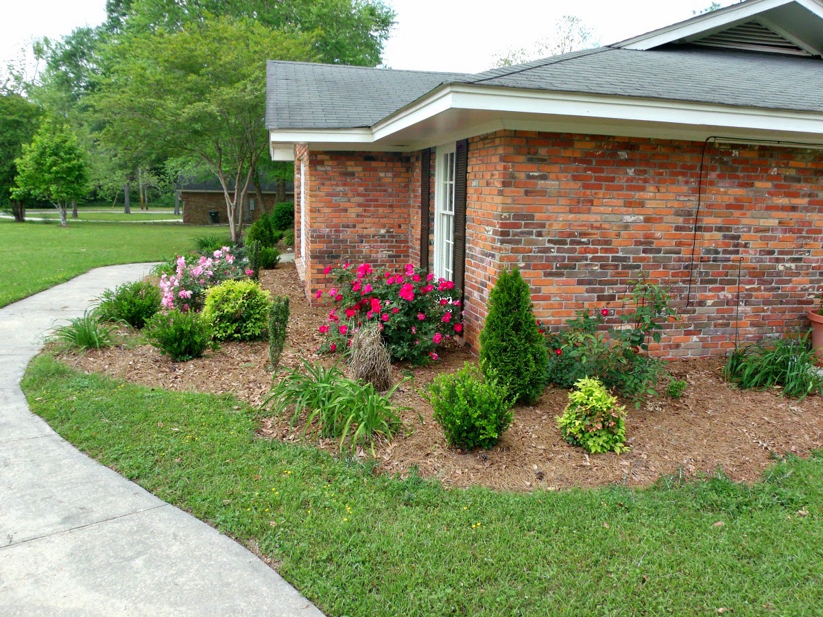 Cultivate Create: Spring Curb Appeal