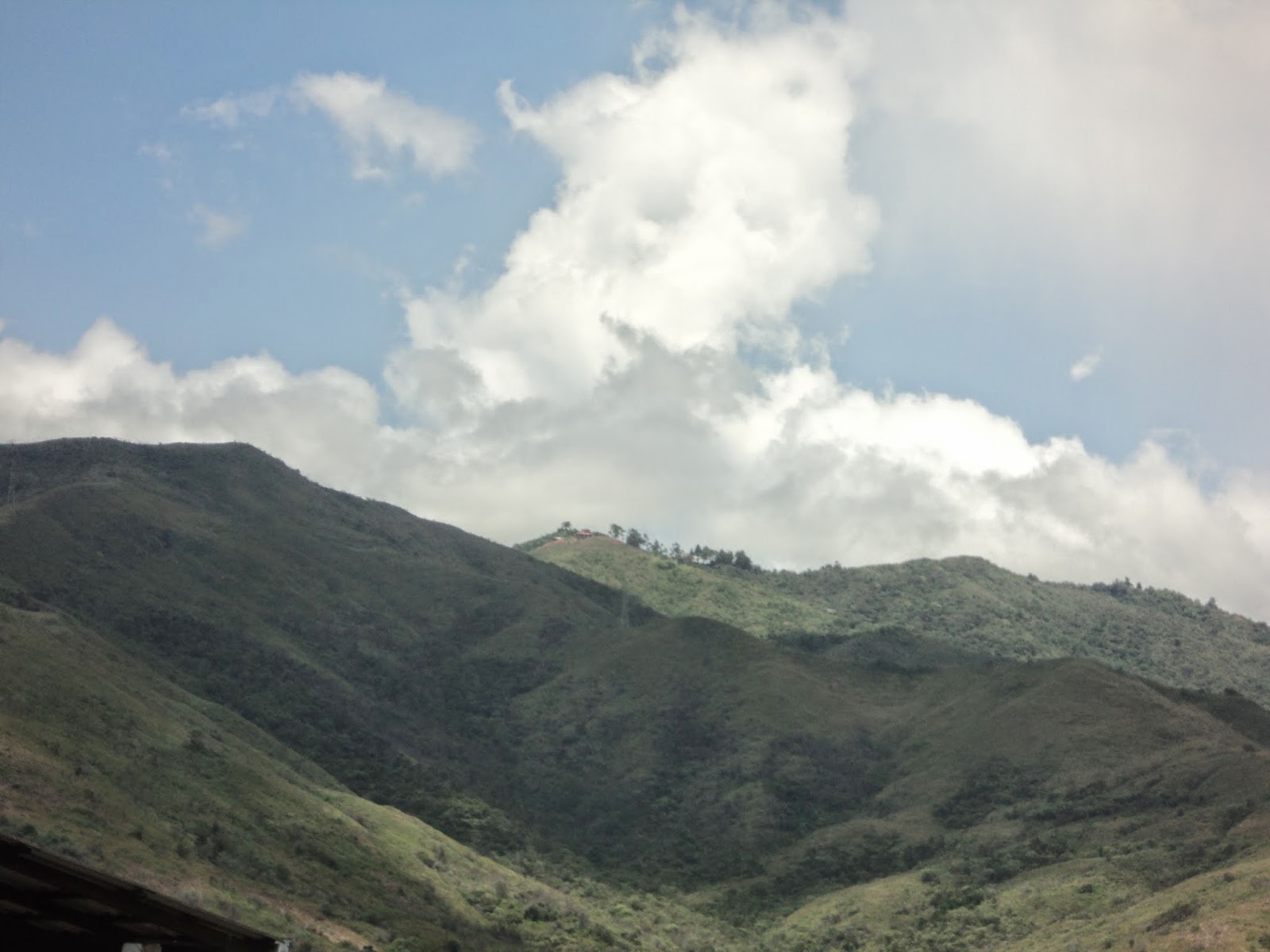 terron colorado : Terron Colorado