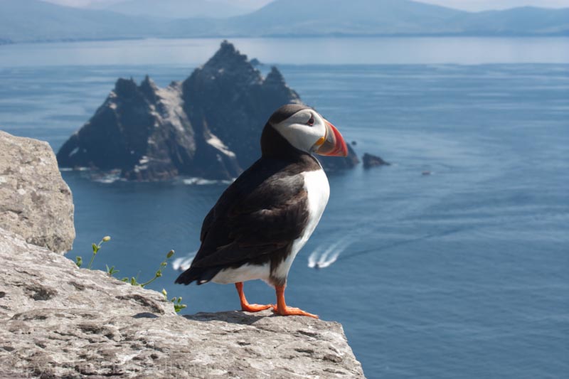 South Kerry Camera Club: Skellig Michael