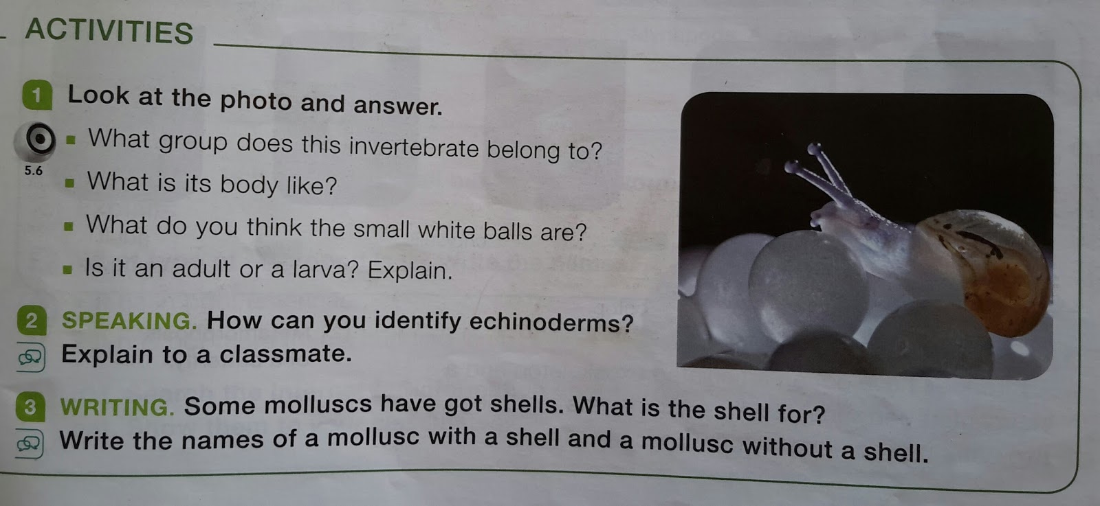 CeipToursScience4: Unit 9. Invertebrate animals. Natural Science