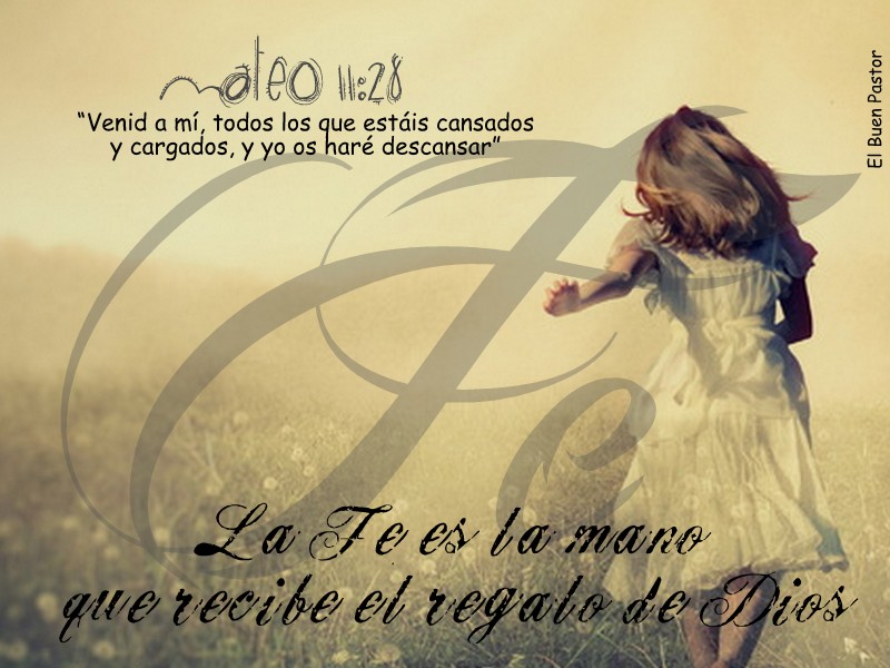 YO SOY EL BUEN PASTOR: Mateo 11:28