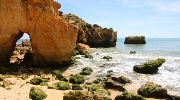 Instituto Portugués de Cultura - Boletim Informativo de Artes e Letras ...