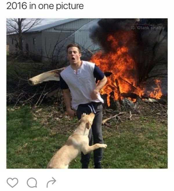 24 Memes For Your Entertaining.