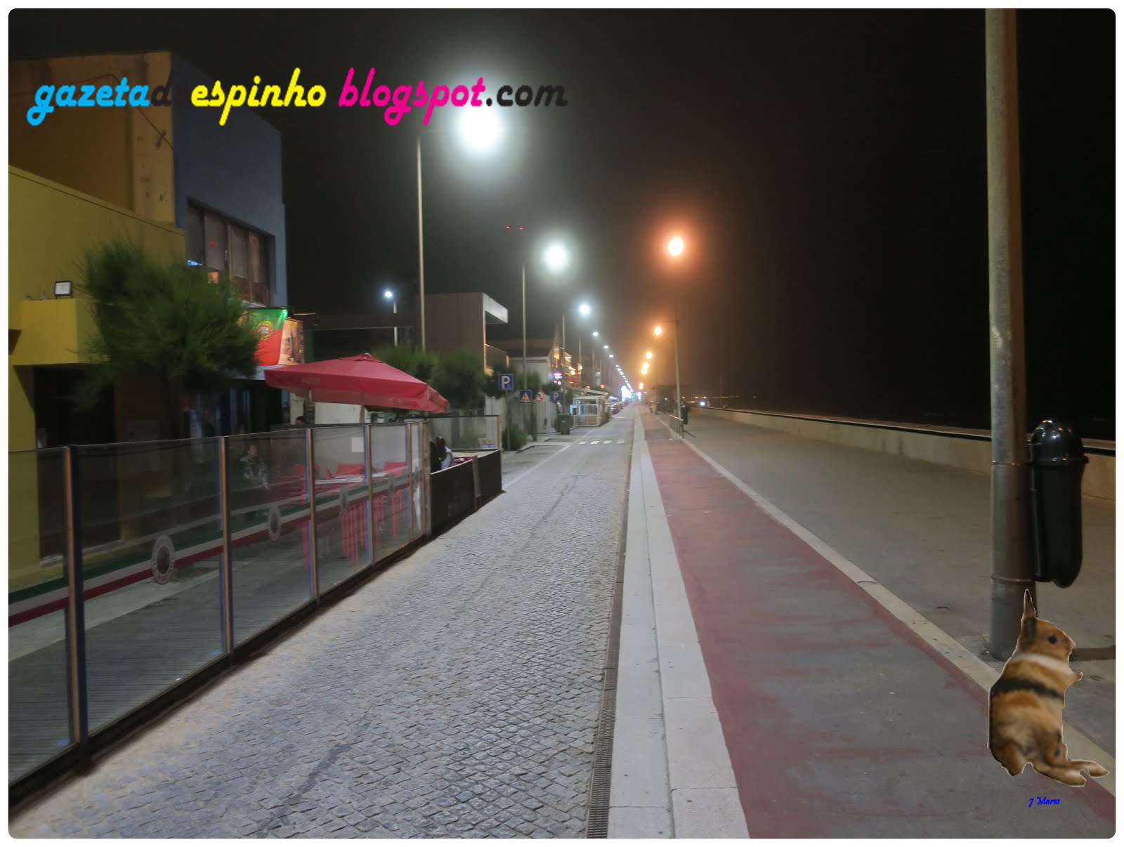 Gazeta de Espinho: Trânsito proibido na Rua 2 de Espinho