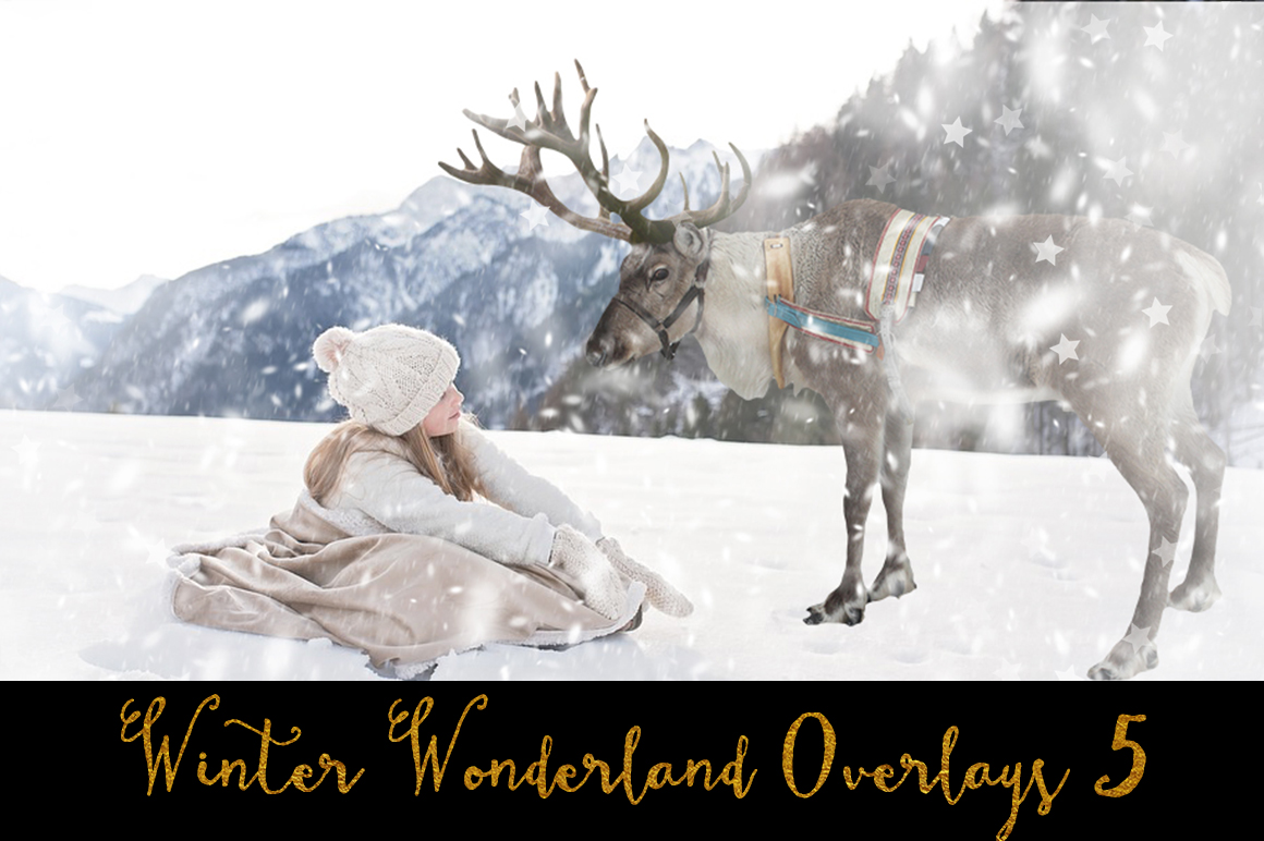 DLOLLEYS HELP: Free Winter Wonderland Snow Overlays Packs 1-5