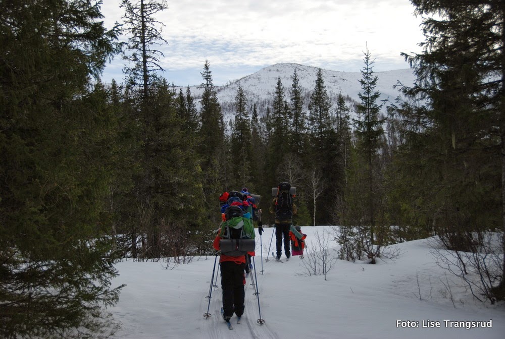Naturlig Jobb: Bålvakt ved Stemtjønna - med blanke ark og fargestifter tel