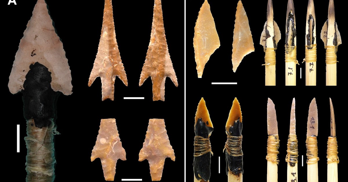 Que la Prehistoria os acompañe!: LA CAZA EN LA PREHISTORIA. LOS INICIOS ...