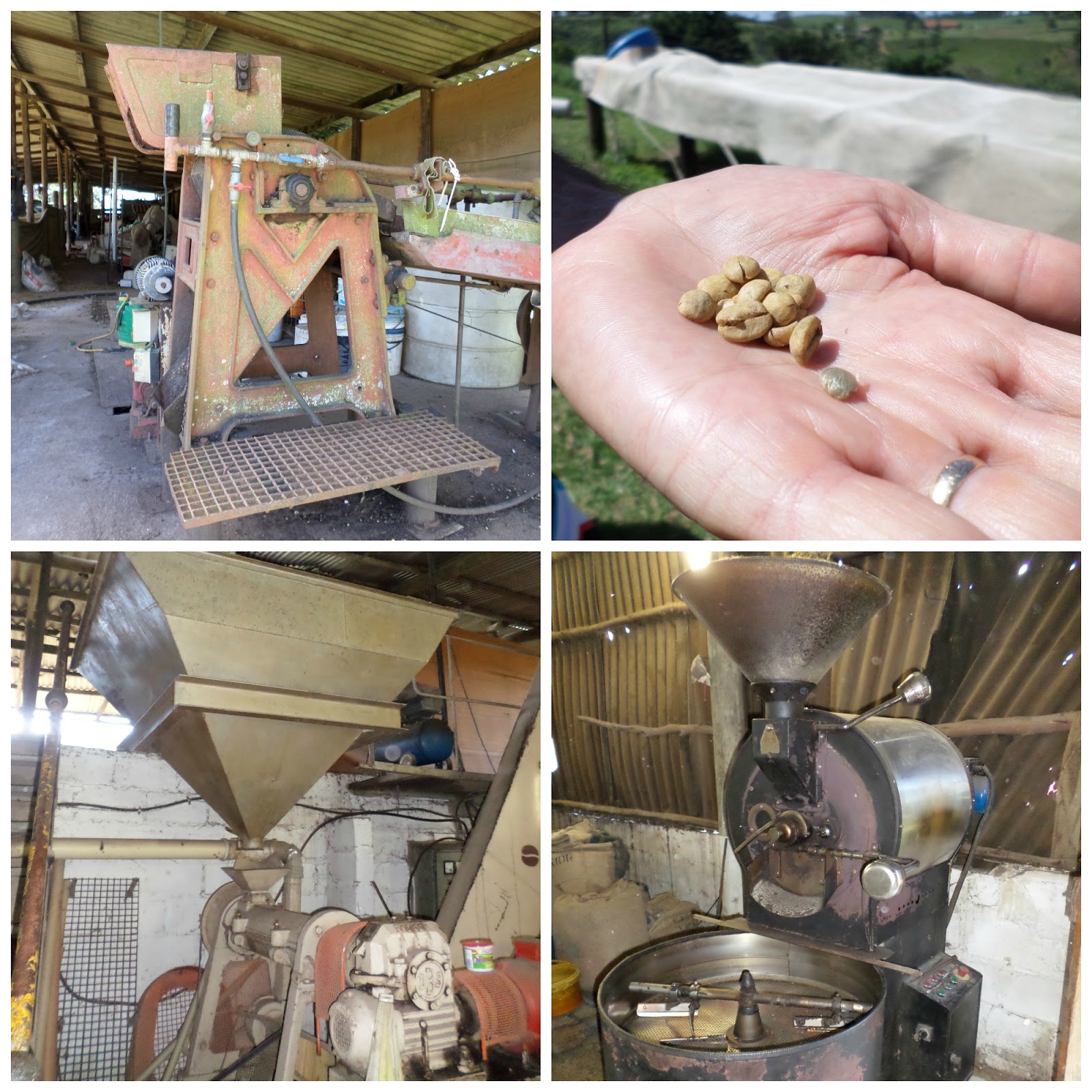 Assagay Coffee Farm | Run on Coffee