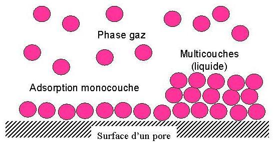 Yang Mempengaruhi Daya Adsorpsi