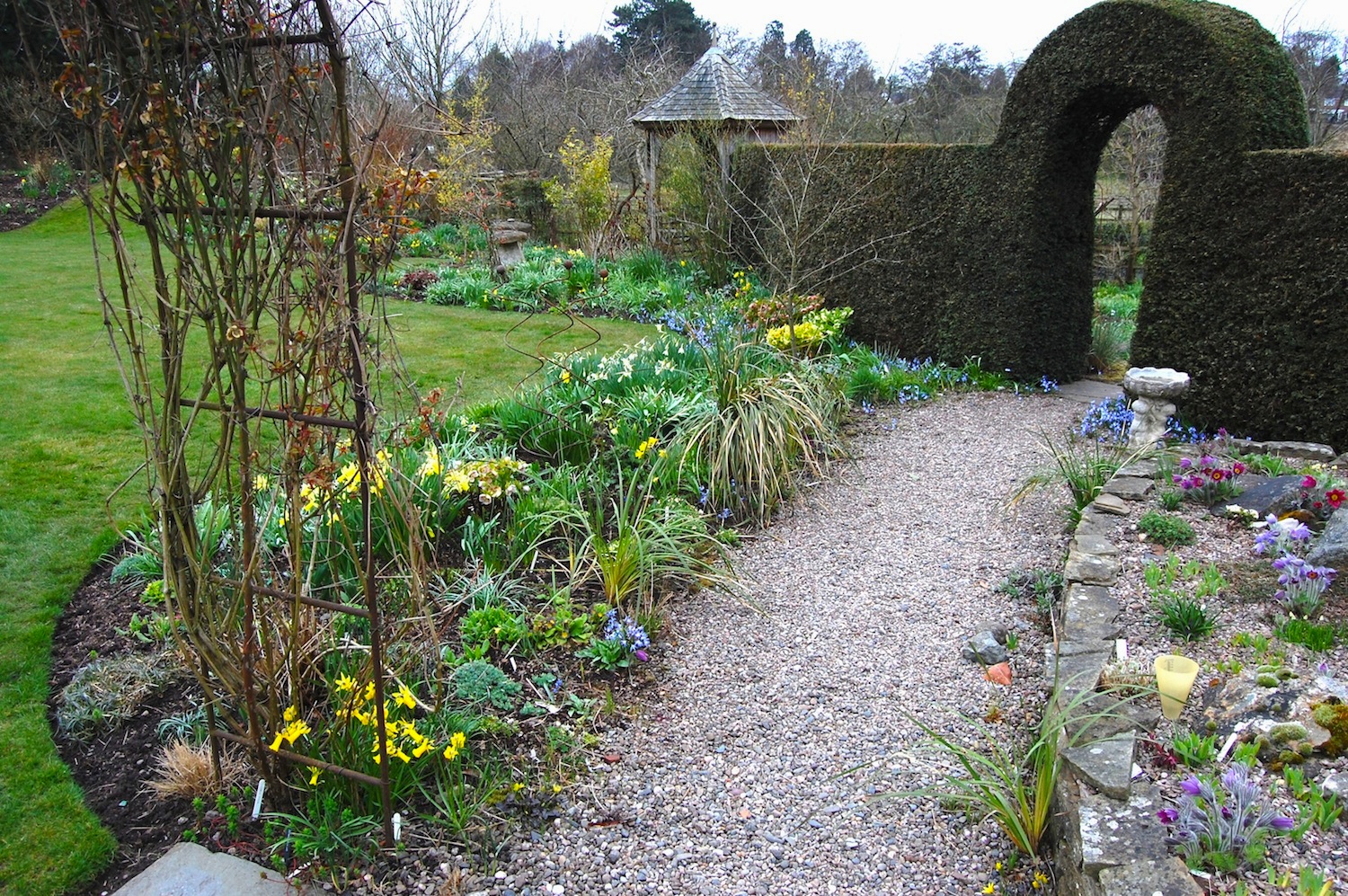 Noel's Garden Blog: The joys of spring