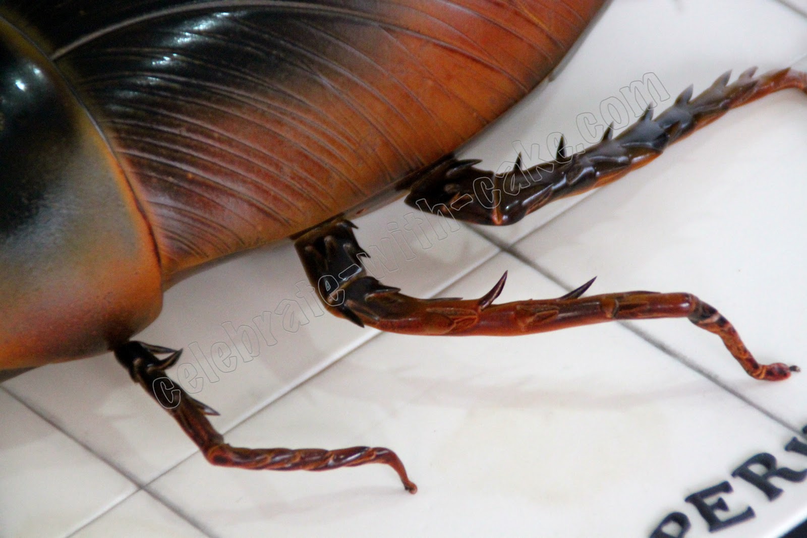 Sculpted Cockroach Cake