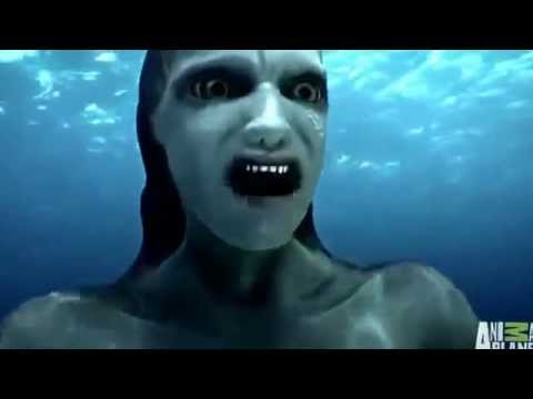 Mermaids Attacked By Giant Shark | The best videos