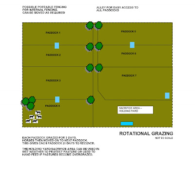 Sustainable Horsekeeping: Rotational Grazing for Horses