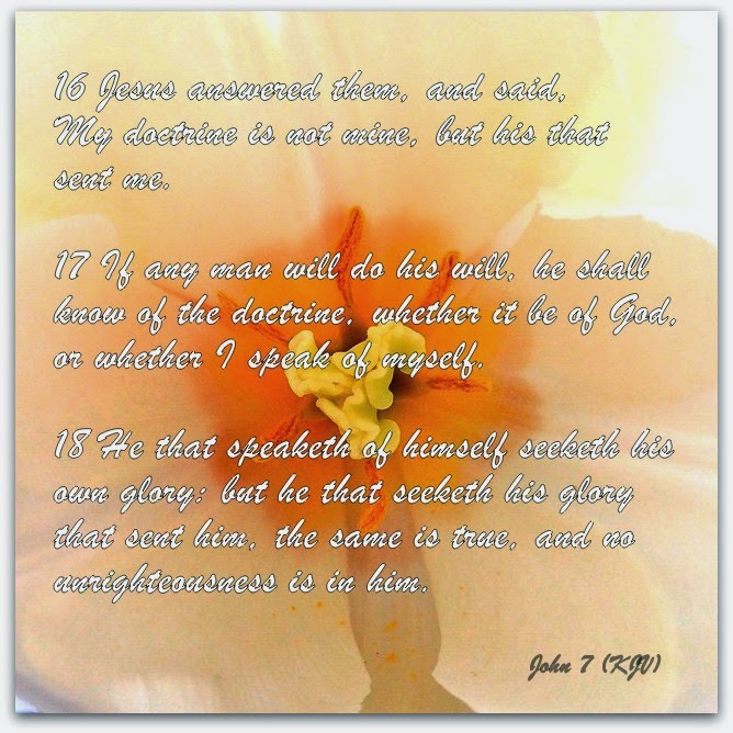 Red Pill Diaries: John 7 (KJV)