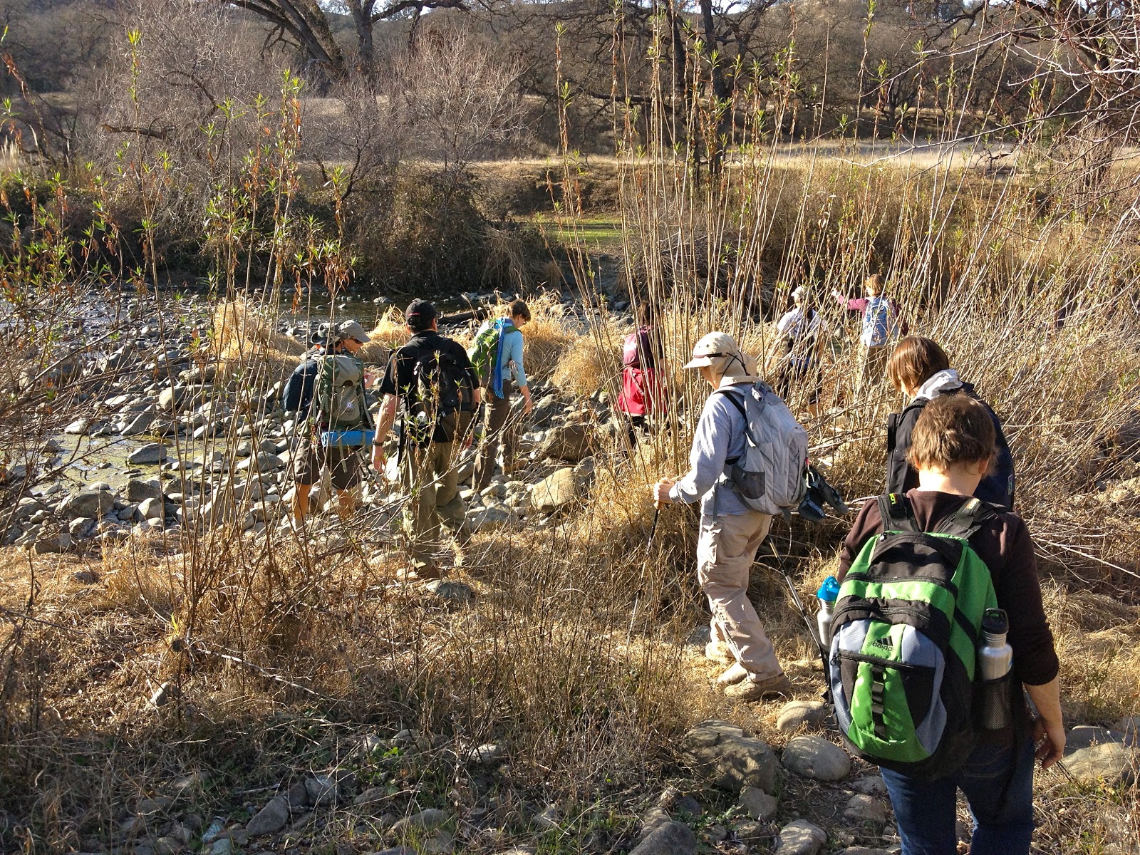 Hiking Around Sacramento: Redbud Trail - Cache Creek Canyon BLM