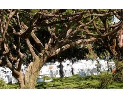 LA HISTORIA DE LA EX HACIENDA DE TENANGO: ESTOS SON UNOS VIDEOS MUY ...