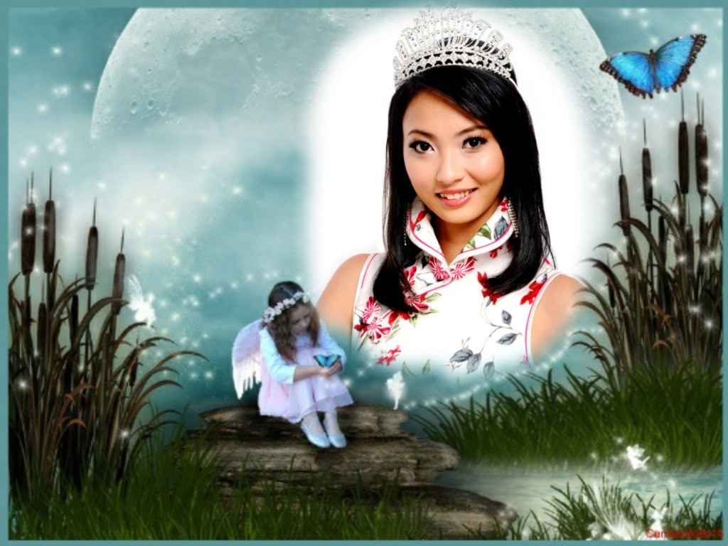 Adeline Yap's Blog: Miss Singapore Chinatown 2010