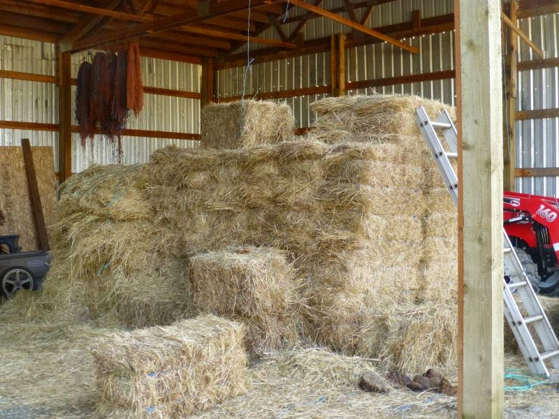 Rural Revolution: Cleaning the barn