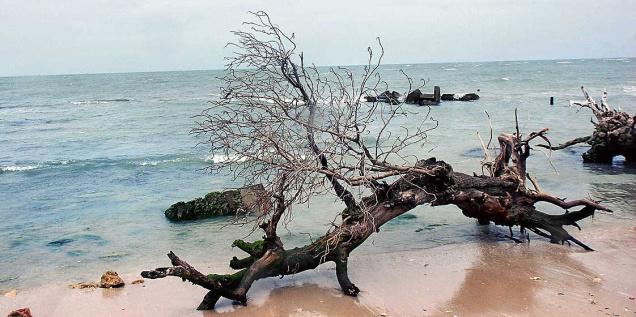 Tamilnadu Tourism: Hare Island, Thoothukudi