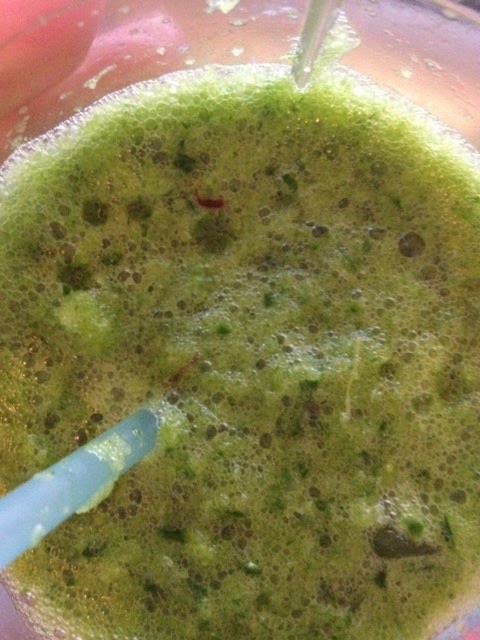 The Healthy Grail: Healthy and Disgusting Green Smoothie