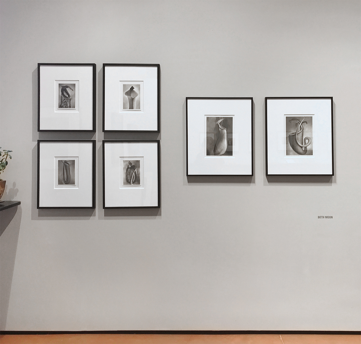 photo-eye | BLOG: 2019 Group Show – Beth Moon Interview: The Savage Garden