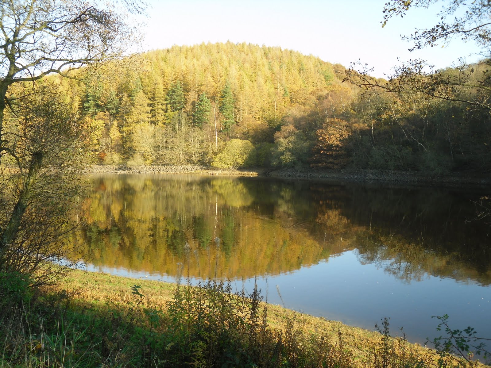 Rambling Nana: Wolsingham, Tunstall Reservoir Circular