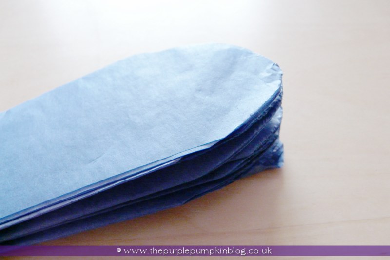 Giant Tissue Paper Rosettes