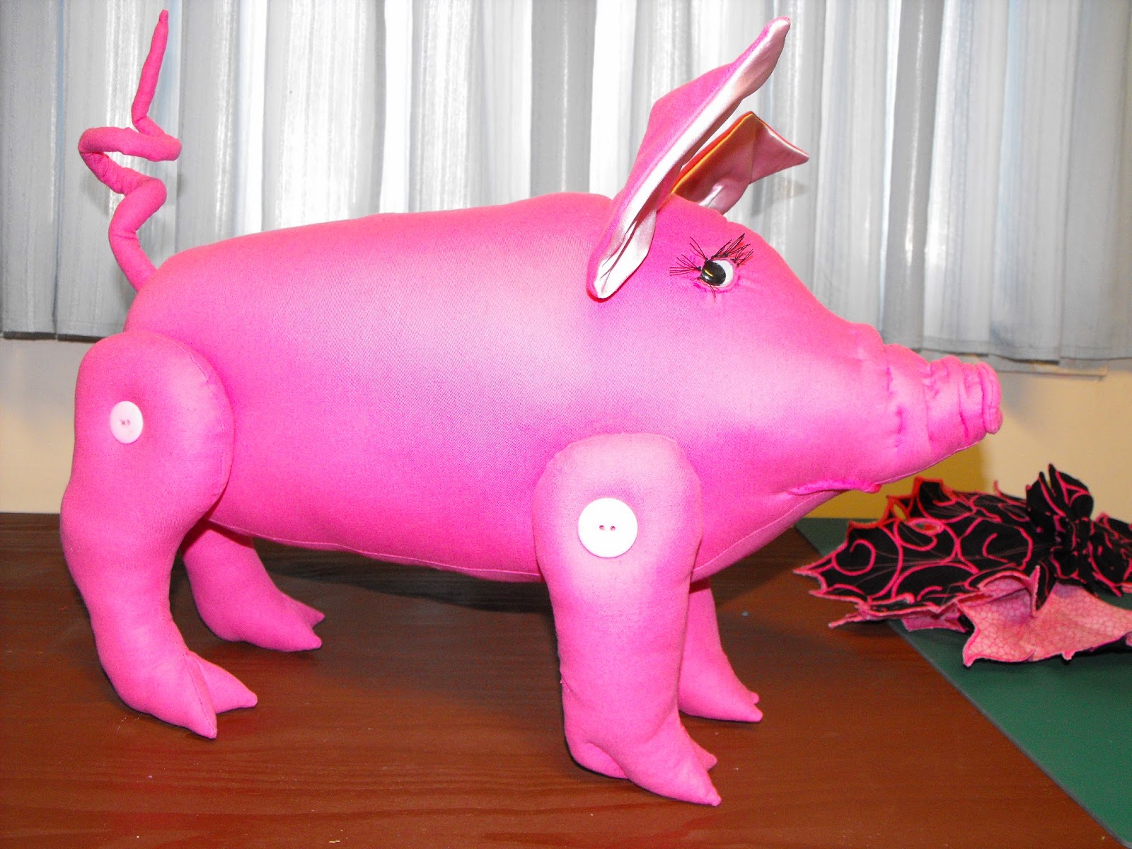 Raising Cinder, a Border Collie Puppy: Things I Learned From a Dog ...