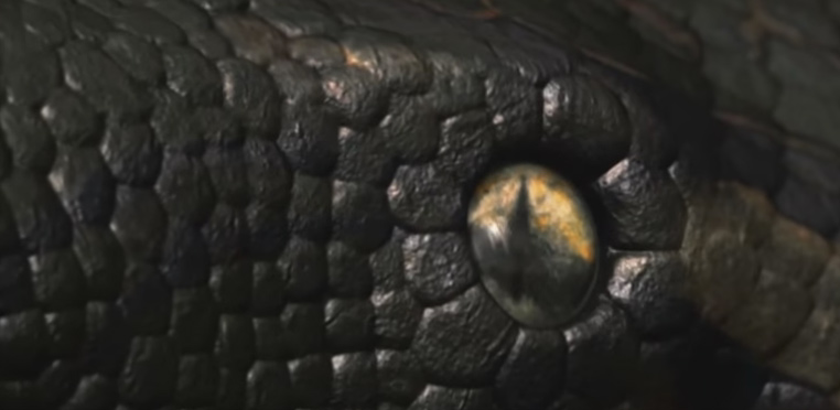 A Monster Snake that ruled Pre-Columbia | Grasspeople