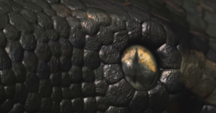 A Monster Snake that ruled Pre-Columbia | Grasspeople