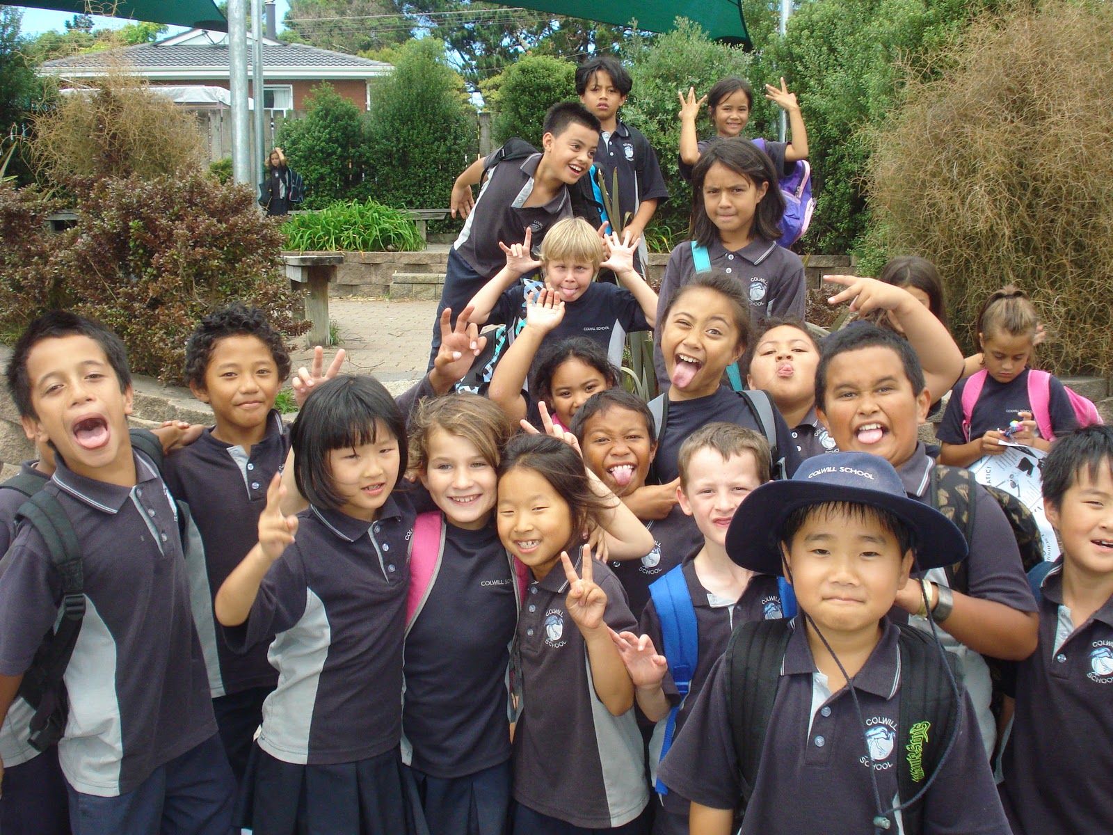 My New Zealand Trip: F.H.E.