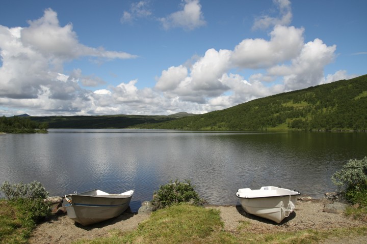 Fotofyndets blogg: Sommarbilder