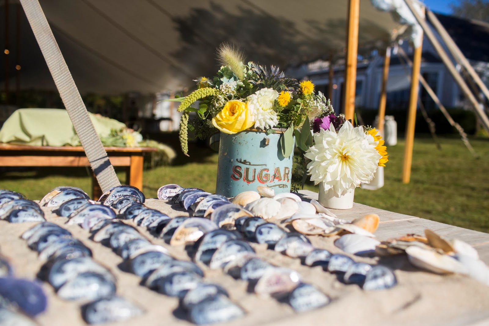 SARAH WORDEN NATURAL DESIGN