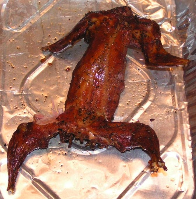 Jeffrey D. Willius's Blog