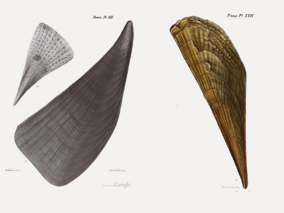 Un unicornio azul - Fitopasión