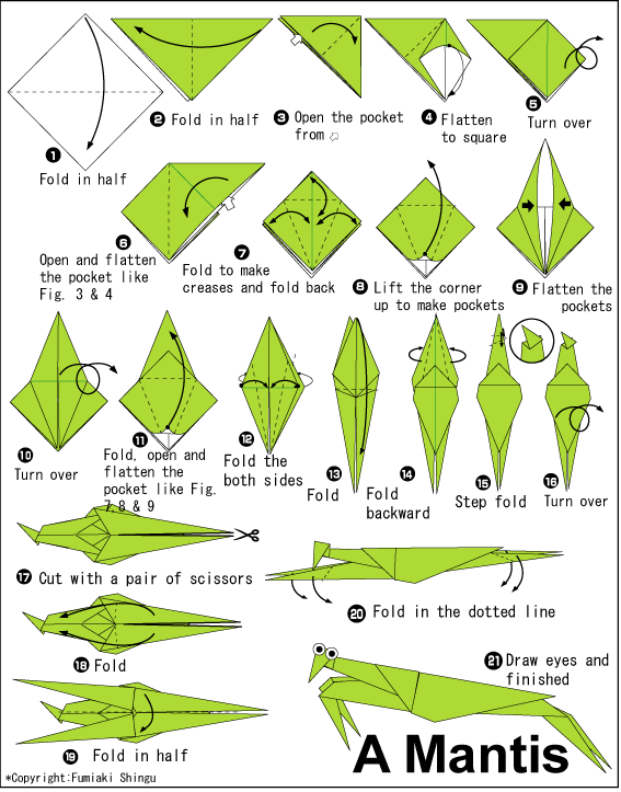 Complex Origami Instructions