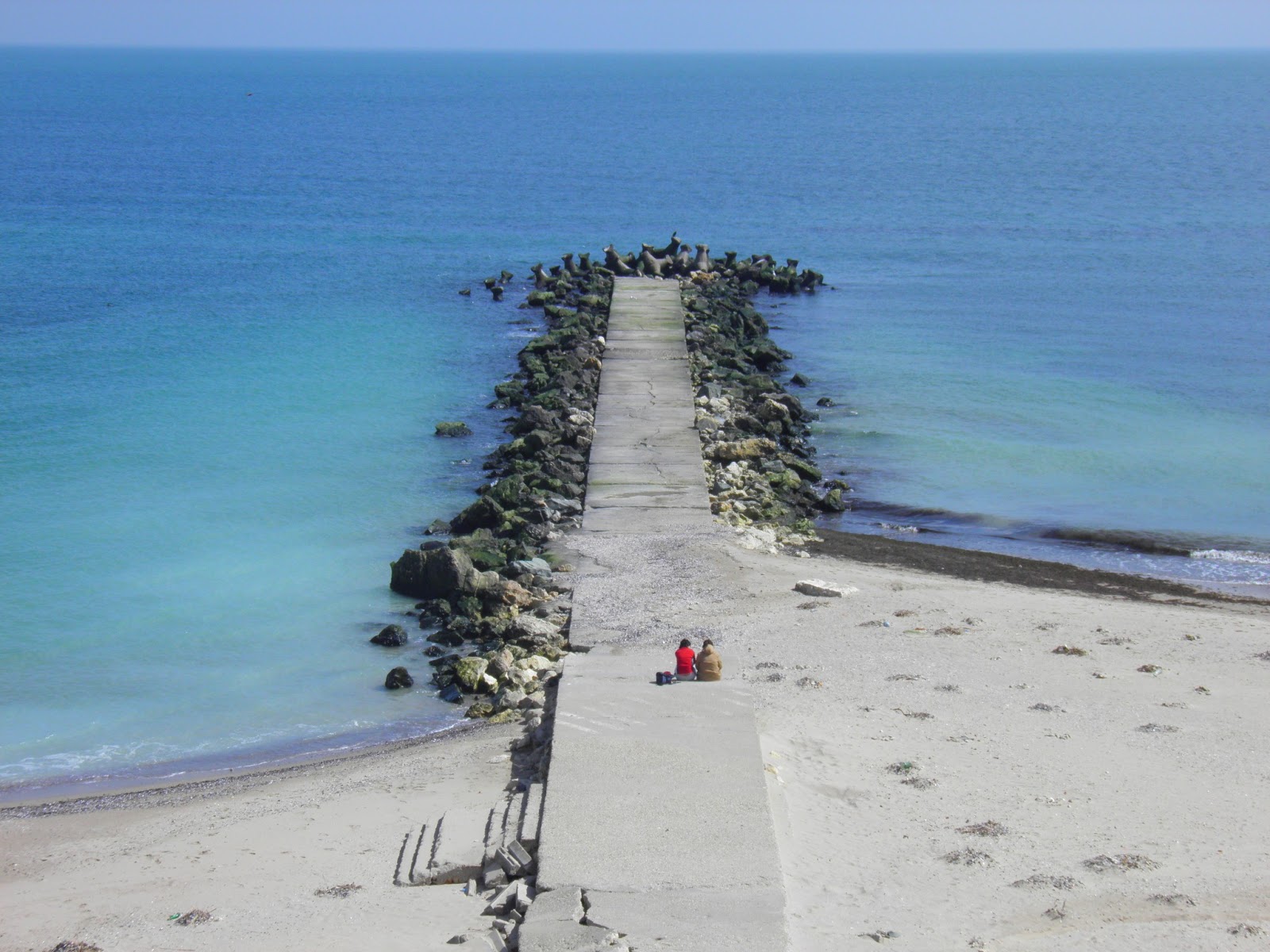 PASARI DIN ROMANIA: CODROS DE MUNTE (2), Phoenicurus ochruros