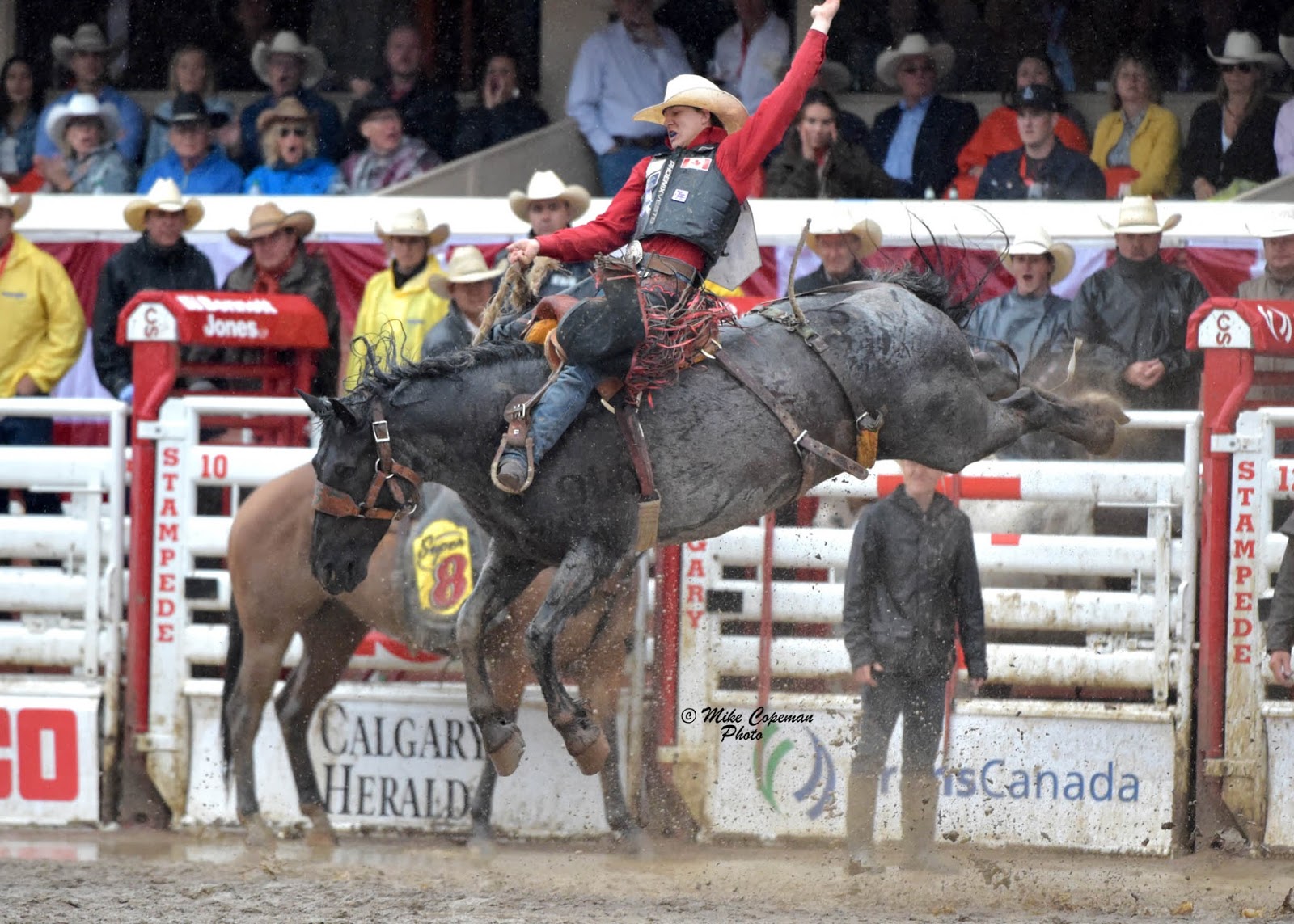 Books We Love Insider Blog: How the Calgary Stampede Inspired My Murder ...