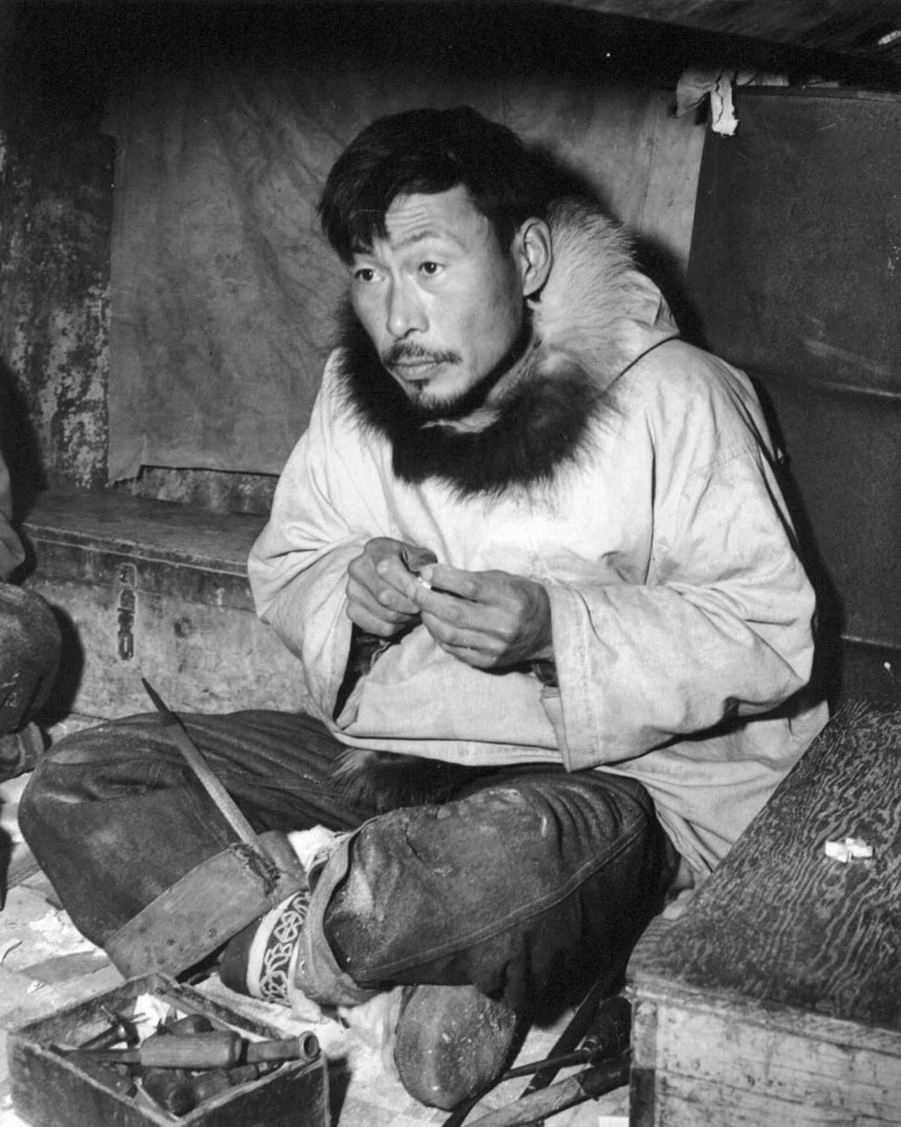 Mongoloid Race Rising: Introduction: What and who does the term ...