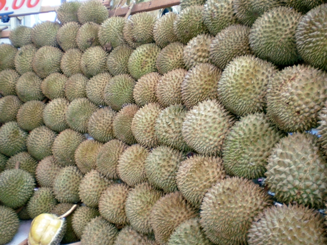 King of the Fruits - Durian - Anncoo Journal