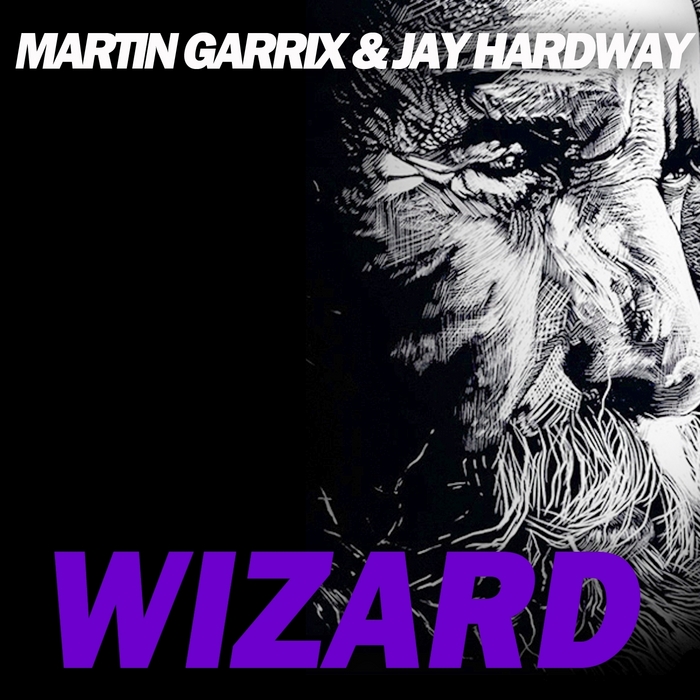 musica electronica: Wizard. Martin Garrix