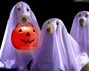 My Michigan: The legend of the Ada Witch