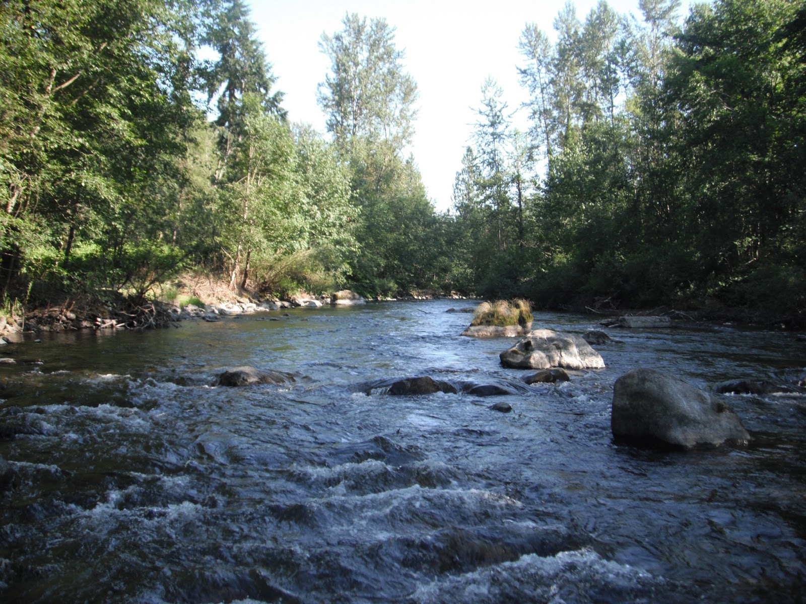 Where I have Fished: Cedar River, WA