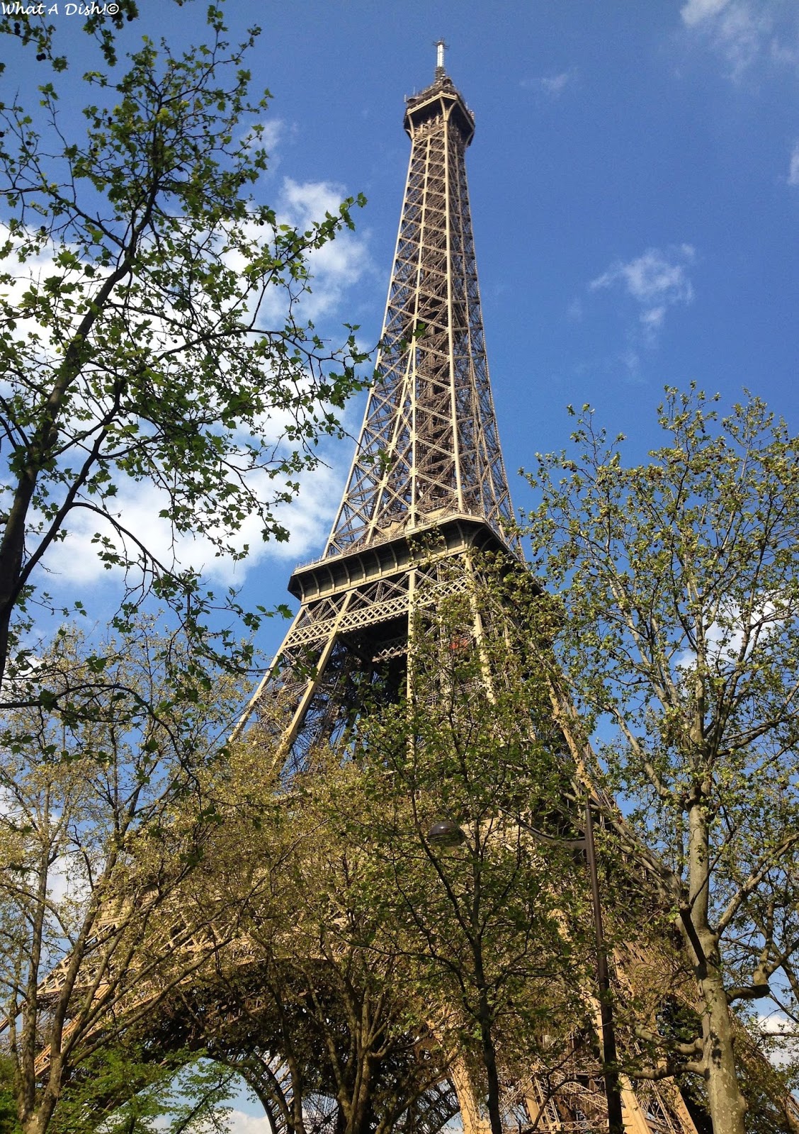 What A Dish!: Paris Sights